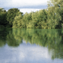 Redmire Pool, ein kleiner See (etwa 1,2 ha) in England